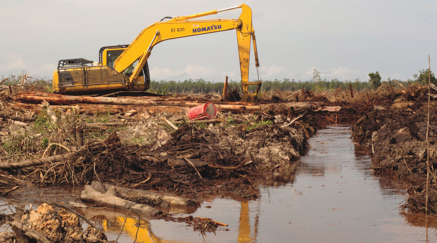 Bumitama's diary of destruction - Friends of the Earth Europe