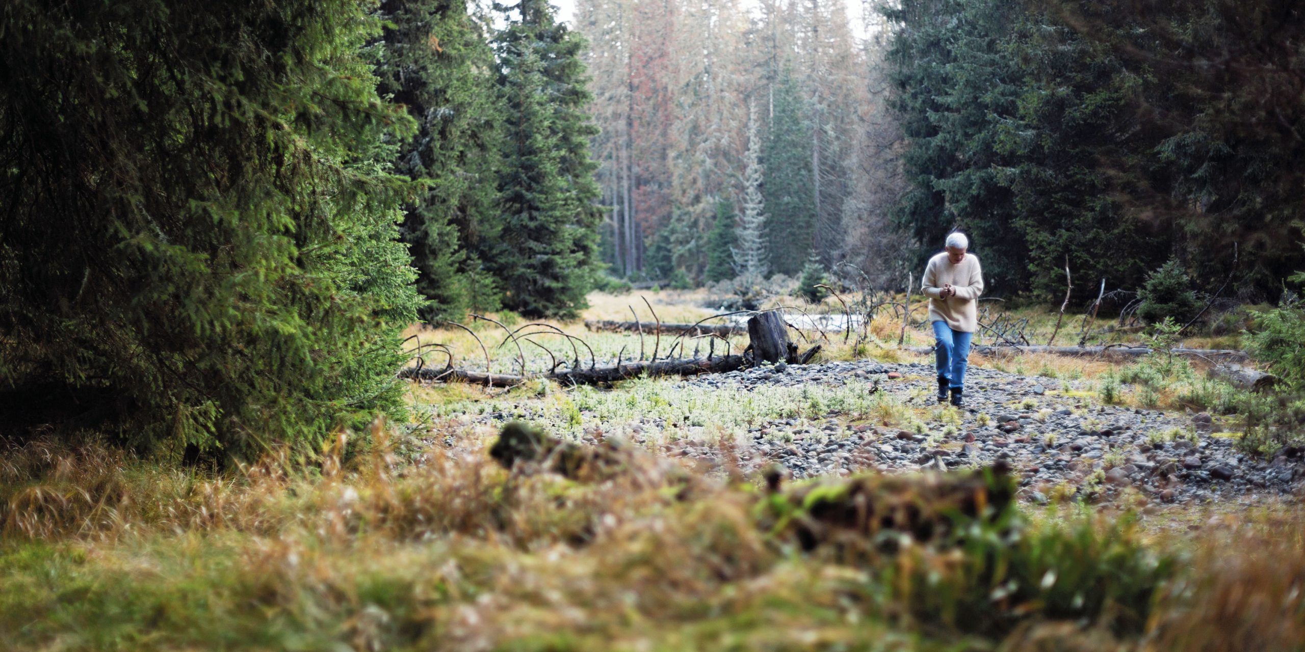 European nature in peril as 100,000 call on EU to uphold nature laws ...