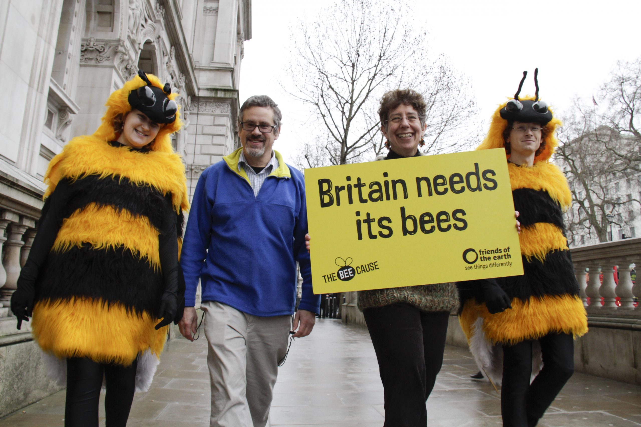 Schools top of the class for bees - Friends of the Earth Europe