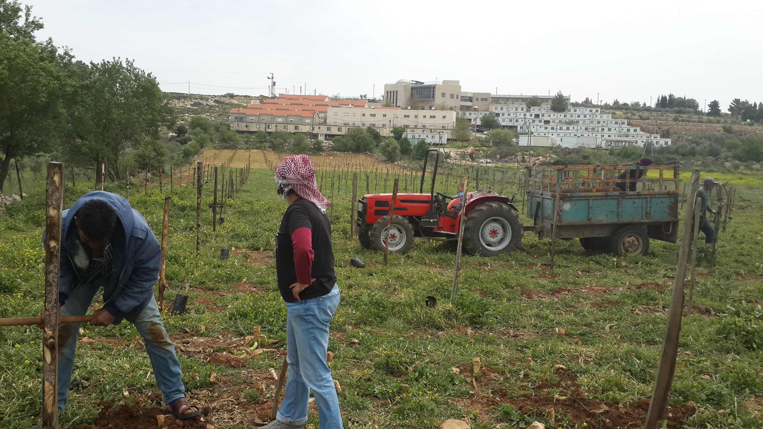 Stop trade with settlements - for food sovereignty in Palestine ...