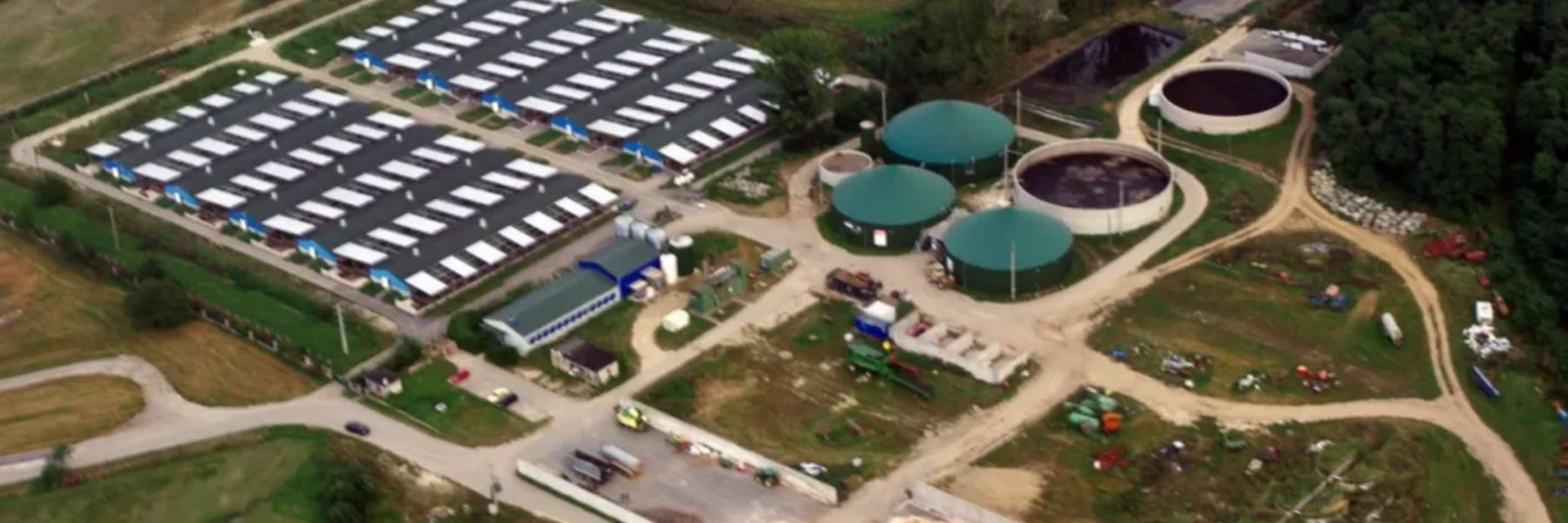 Facing the wind: Kisbér residents' fight against pig factory's pollution