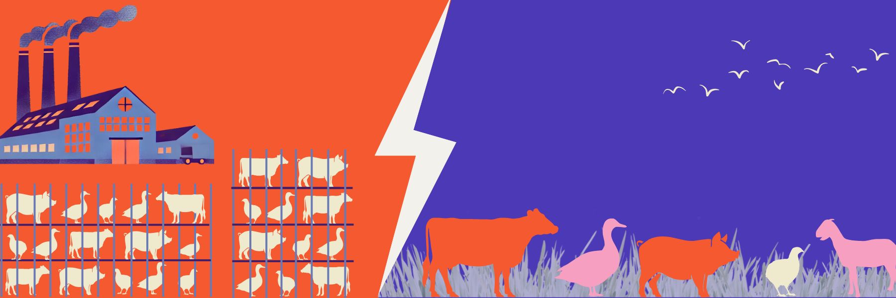 Creating pathways for sustainable animal farming in the EU