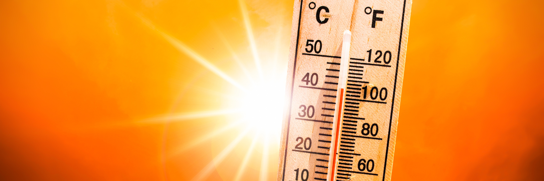 Turning down the heat: How can Europe tackle summer energy poverty ...